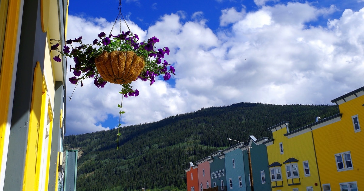 Yukon Nominee Program (YNP) | Yukon immigration