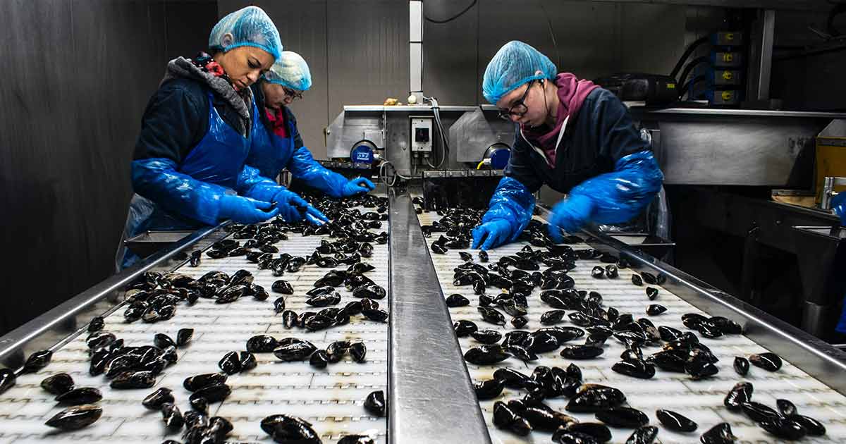 Quebec immigration pilot for food processing workers