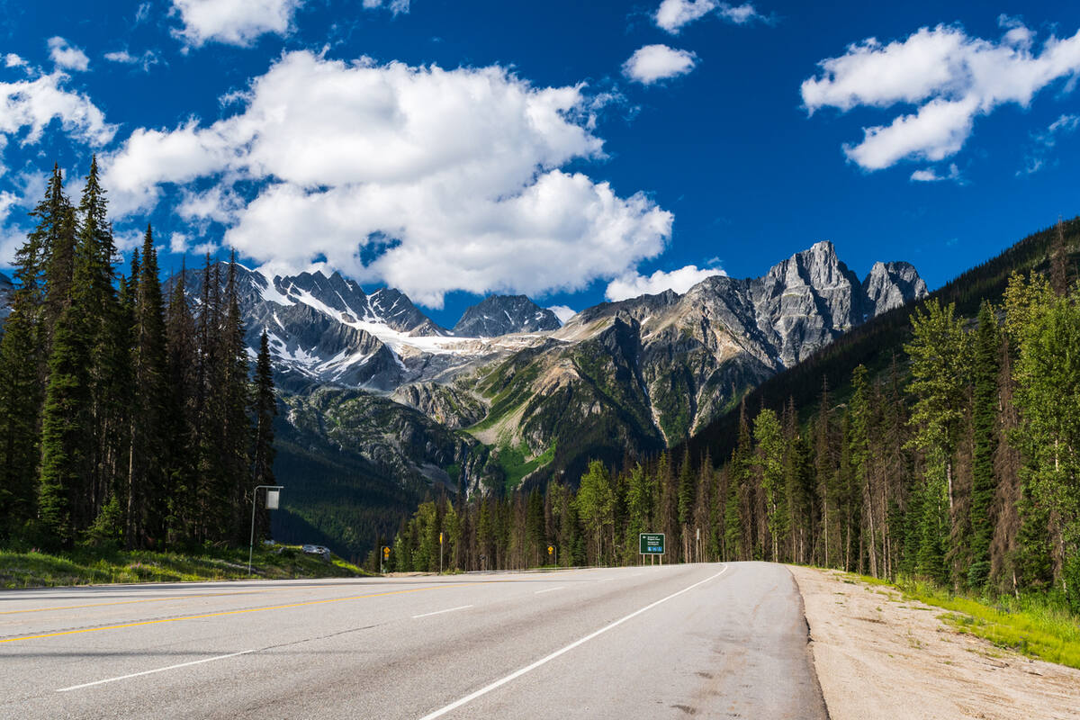 BC's New Newcomer Guide Contains Tons of Helpful Insights