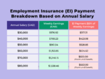 Understanding Employment Insurance As A Newcomer TO Canada