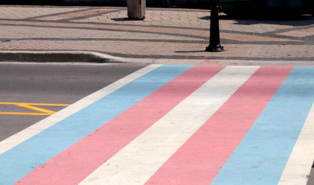 Understanding The X Gender Marker in Passports in Canada